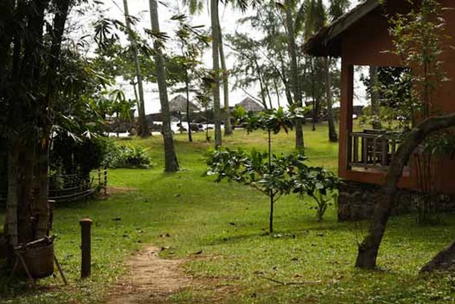 Mango Bay Resort - TNK Travel