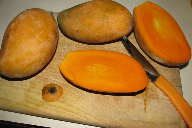 The important fruit of Myanmar – Juicy Mango - TNK Travel