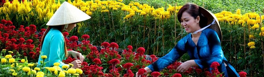 Exploring Flower Villages in Mekong Delta - TNK Travel