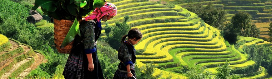 8 most beautiful homestays in Sapa - TNK Travel