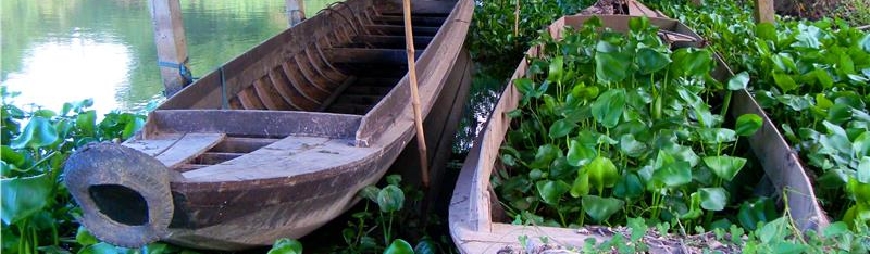 An Binh Islet Top Things To Do In Vinh Long Tnk Travel