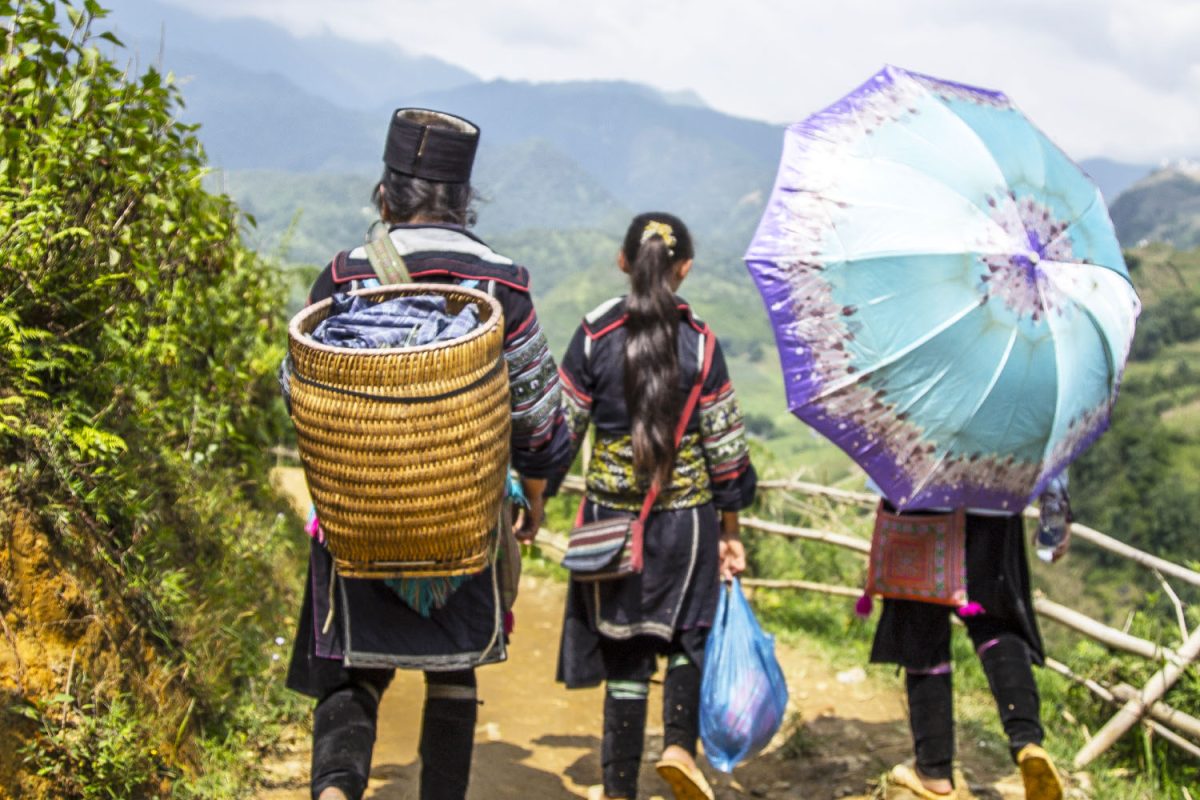 Rice Terraces in Sapa: Vietnam’s most iconic mountain landscape - TNK ...