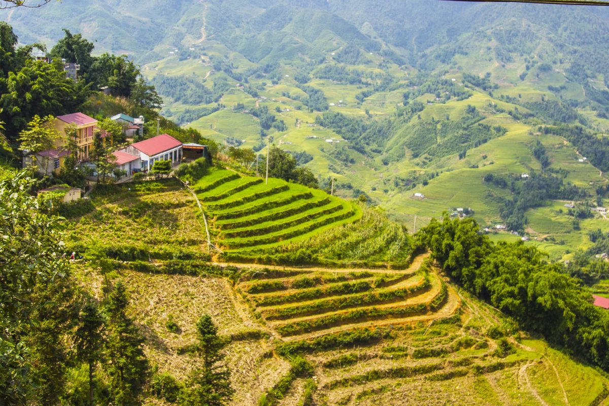 Rice Terraces in Sapa: Vietnam’s most iconic mountain landscape - TNK ...